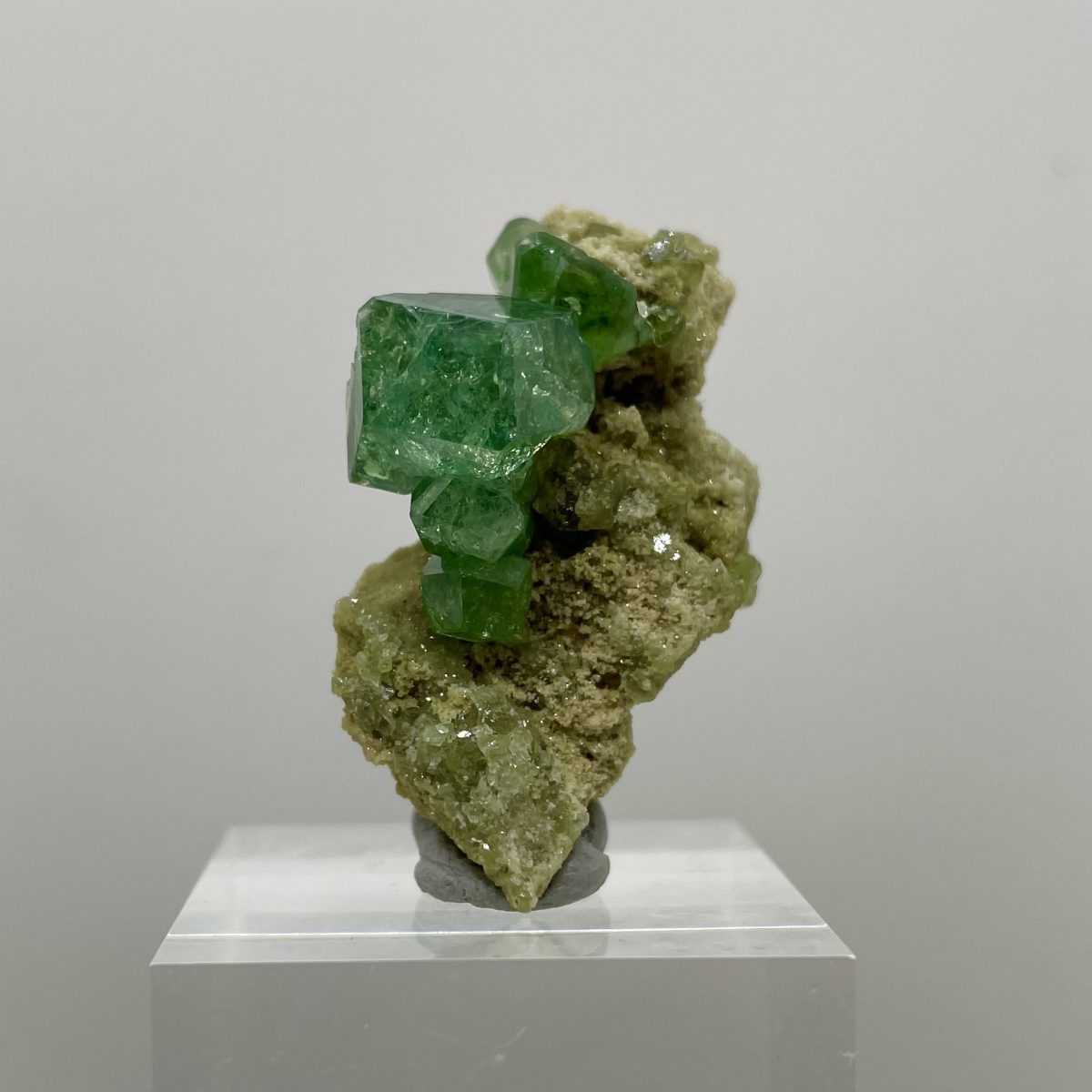 Adamite from Ojuela mine, Mexico - Wieman Minerals
